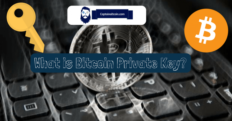 What are bitcoin private keys? Complete Guide For Beginners - CaptainAltcoin