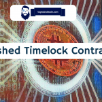 How to Make Profit from a Bitcoin Crash | CaptainAltcoin