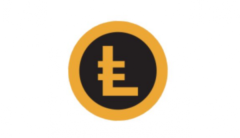 What is LEOcoin Coin