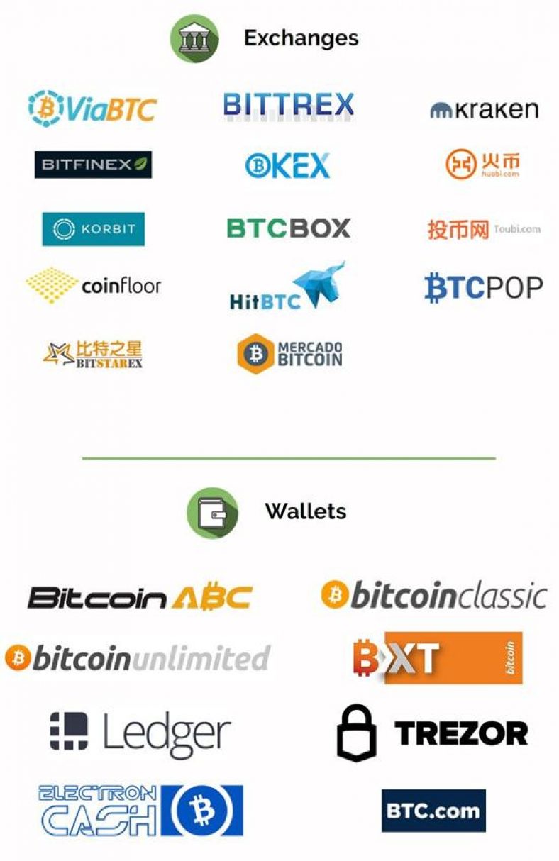 A Beginner's Guide to Bitcoin Cash (BCH) - Everything You Need To Know ...