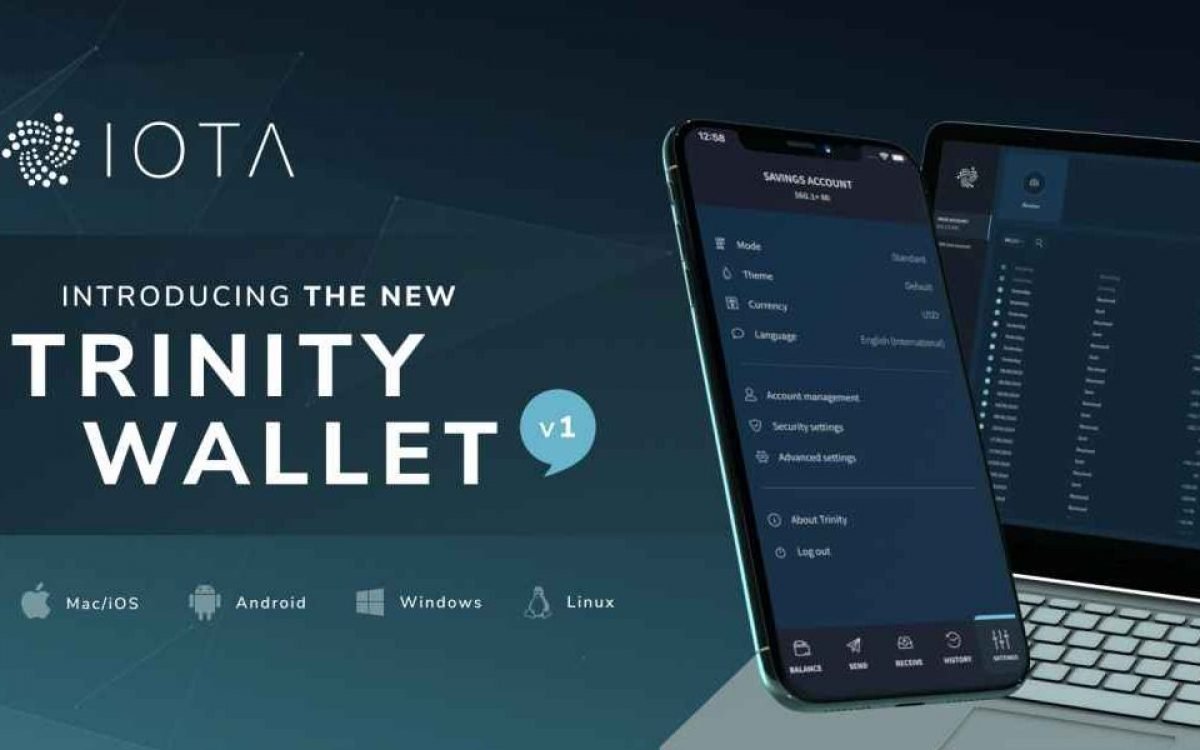 Best Iota Wallets 2025 (Hardware, Desktop, Mobile Options Compared) - CaptainAltcoin
