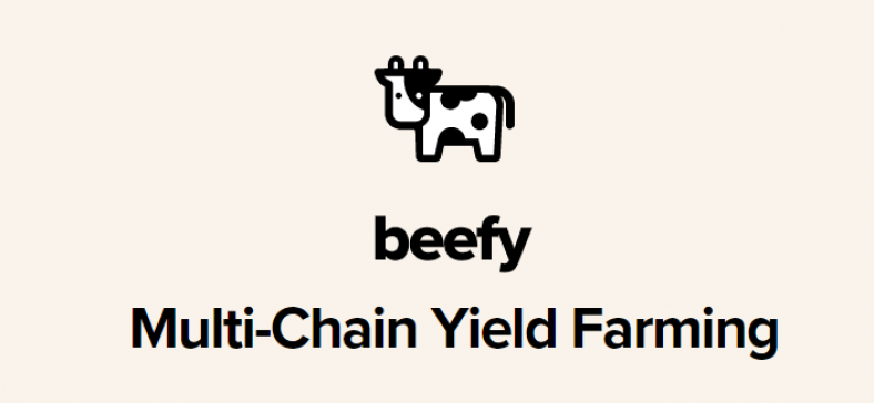 Best Yield Aggregators on BSC in 2025 - Top DeFi Yield Farms