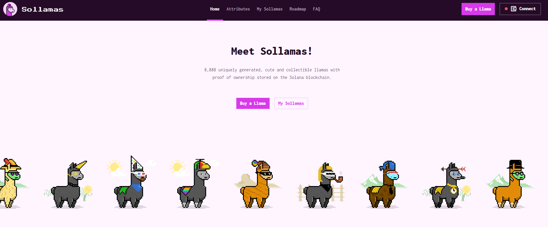 Best NFT Projects on Solana Blockchain 2025 - Top SOL NFT Collections