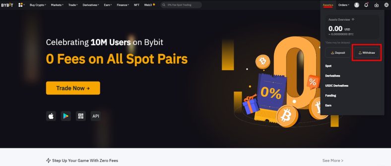 How to Withdraw Money From ByBit 2025 [With & Without KYC]