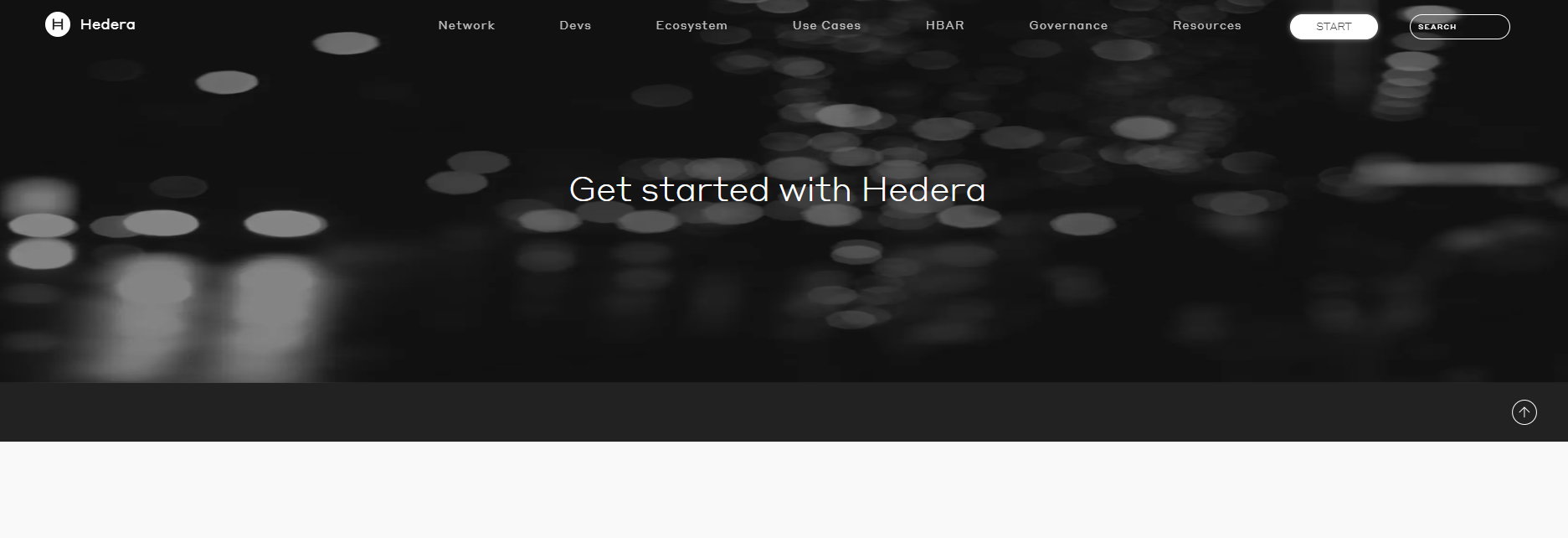 Best New Layer 1 Blockchains to Invest In 2026 (L1 Blockchains List)