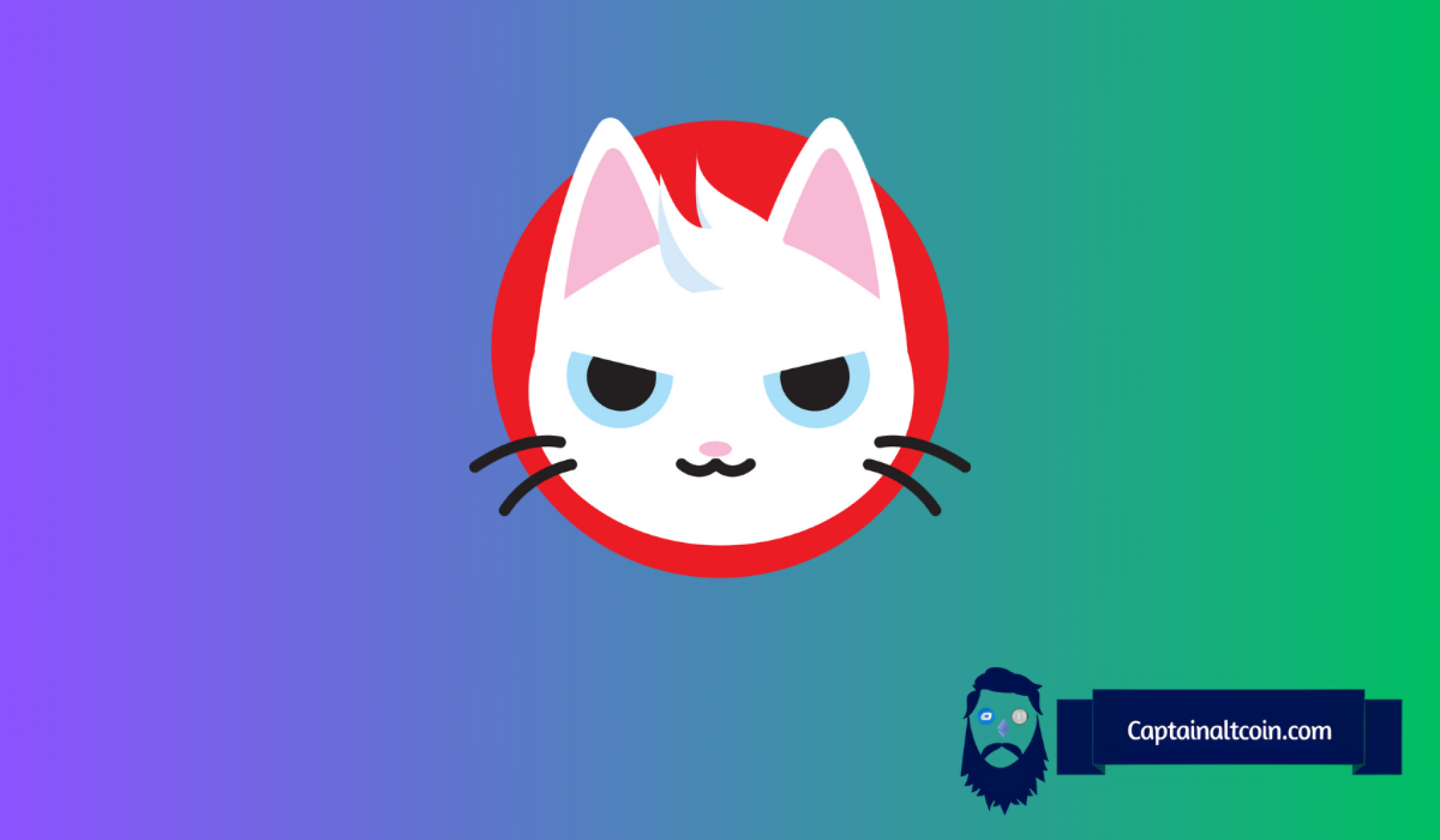 Why This Solana (SOL) Cat Meme Coin Could Overtake All Dog-Themed ...