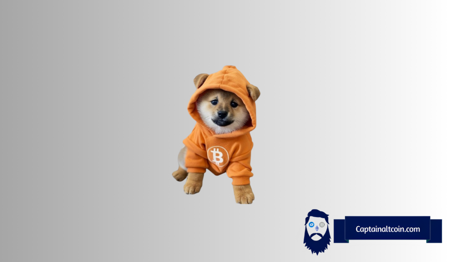 DOG•GO•TO•THE•MOON (DOG) Hits New All-Time High, Challenges Top Meme ...