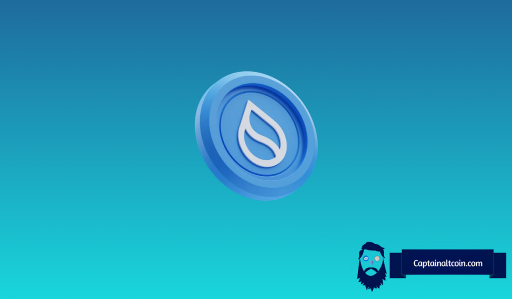 How Many Sui Tokens Could Make You a Millionaire? A 'Realistic' SUI ...